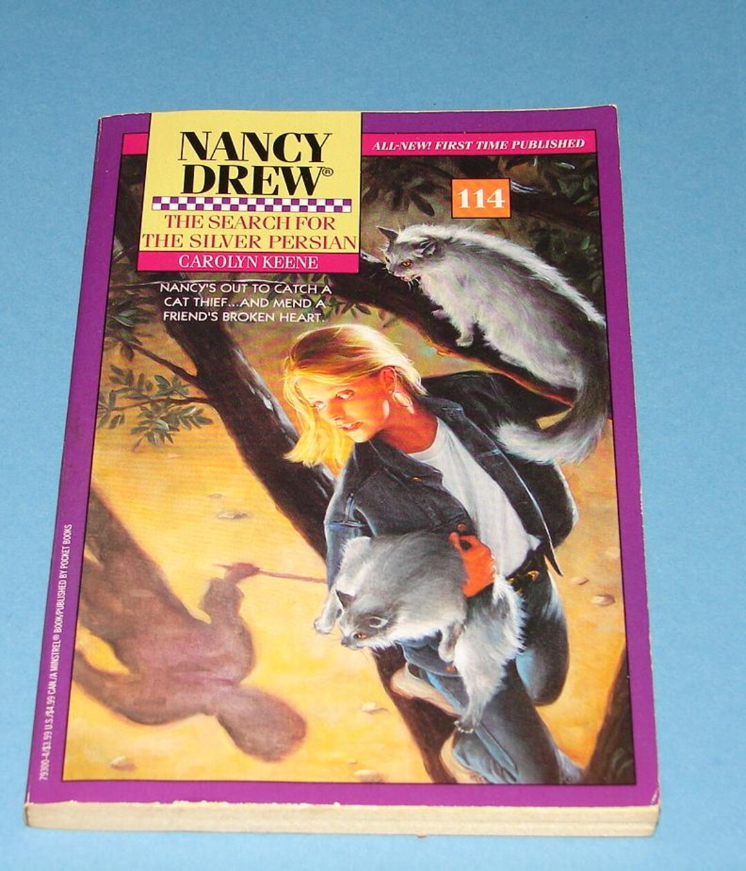 Nancy Drew #114 the Search for the Silver Persian 1993 1st Printing - Etsy