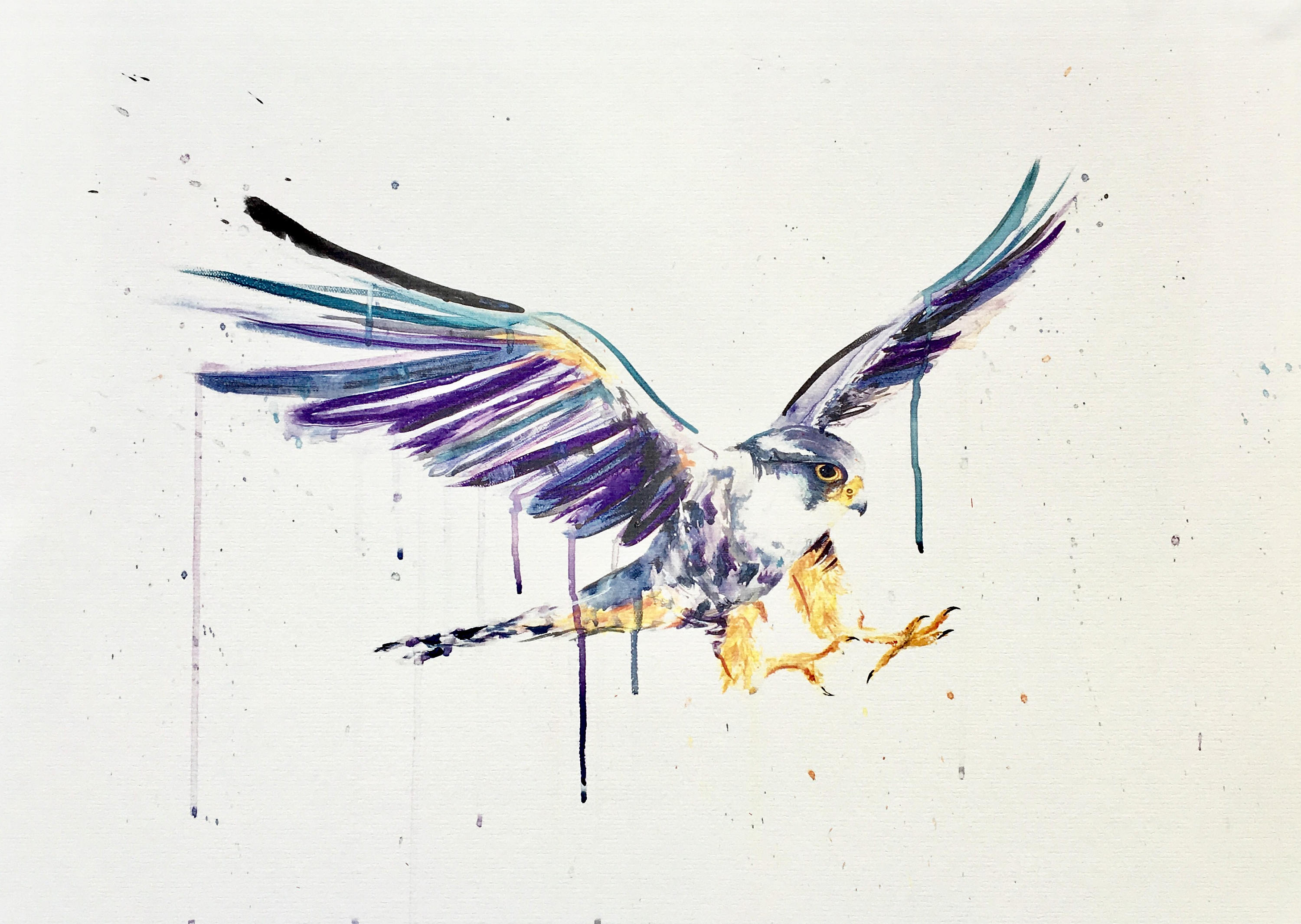 Falcon Watercolour Art Print-colourful, Living Room, Bedroom Art ...