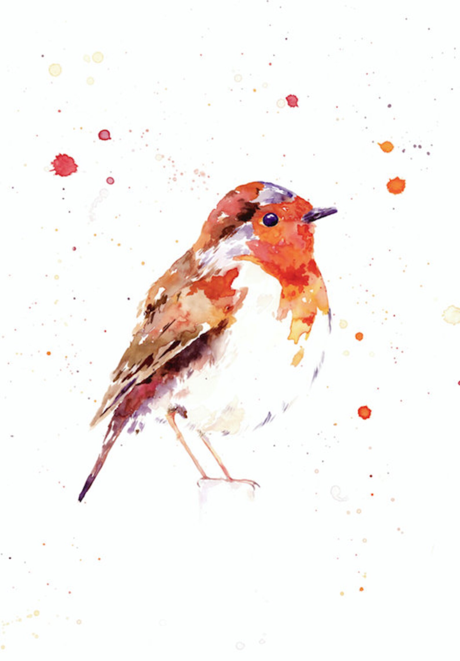 Robin Watercolour Art Print-colourful, Robin Painting, Living Room ...