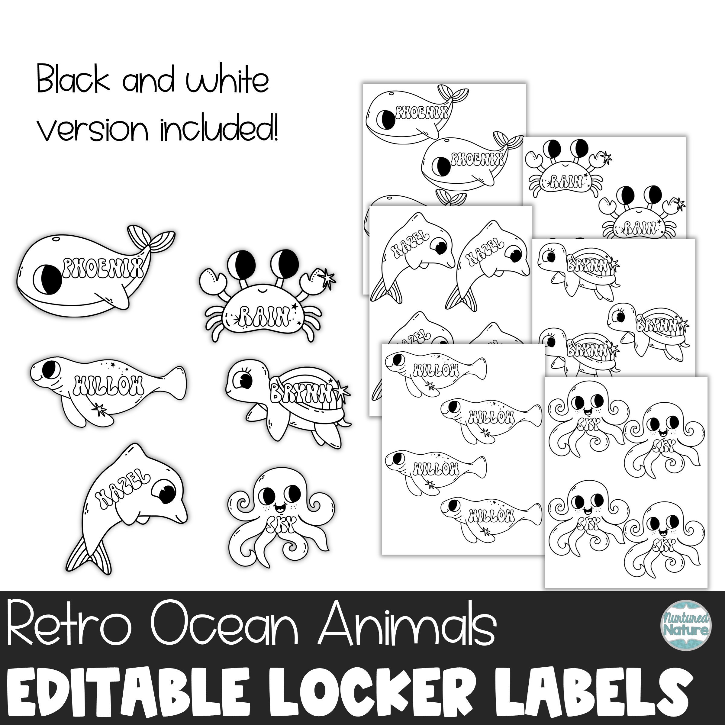 Editable Name Tags for School, Retro Cubby Tags, Back to School ...