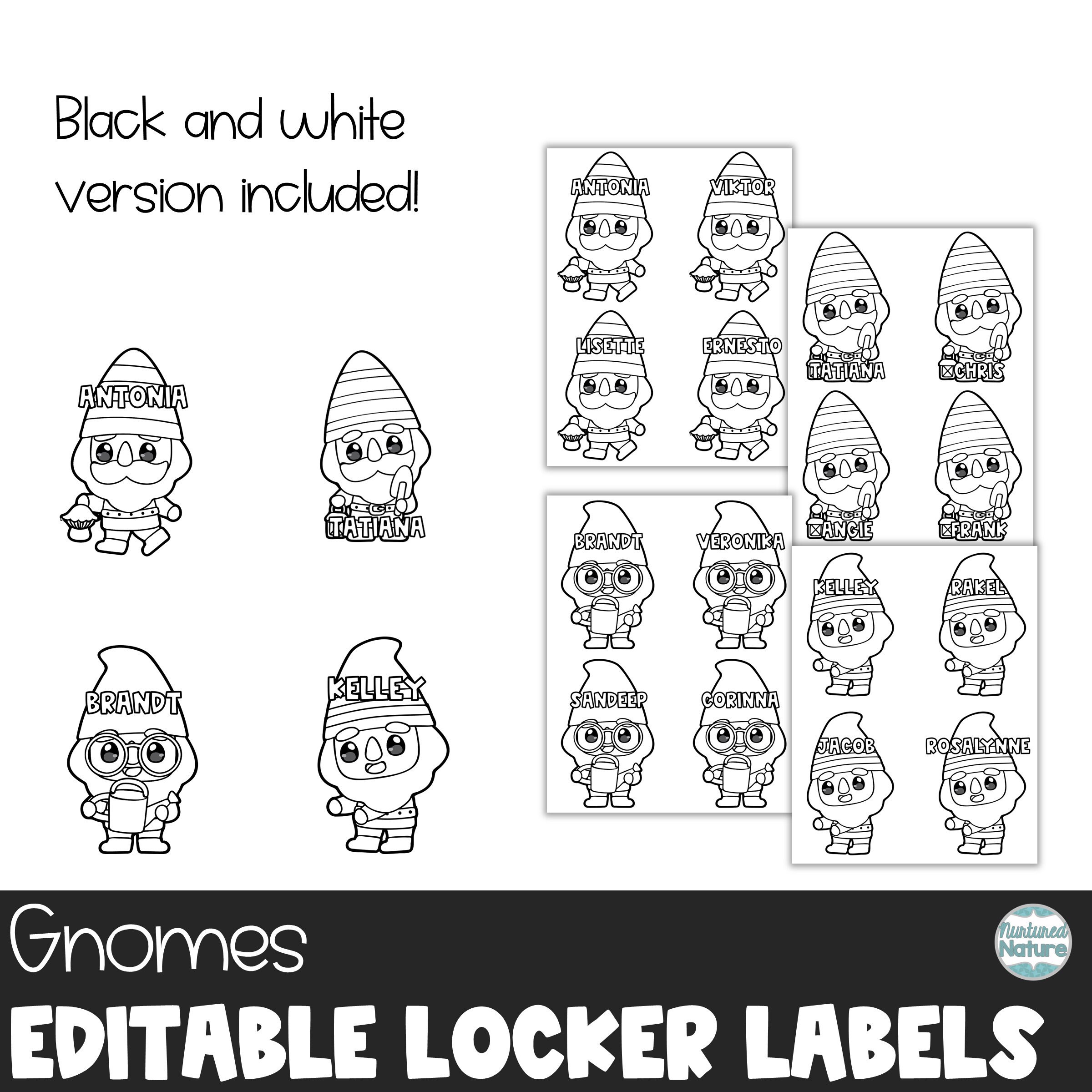 Cubby Tags, Gnome Theme, Mushroom Decor, Locker Label Set, Editable ...