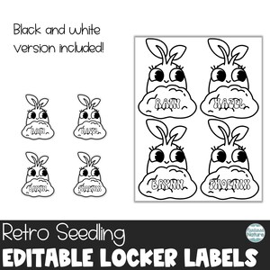 Retro Spring Classroom Decor, Cubby Tags, Editable Name Tags, Locker ...