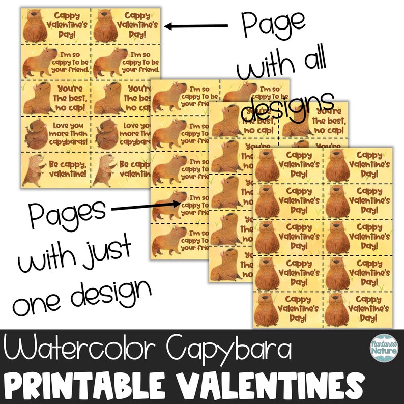 Capybara Valentines Cards for Kids Classroom Capybara Gift - Etsy