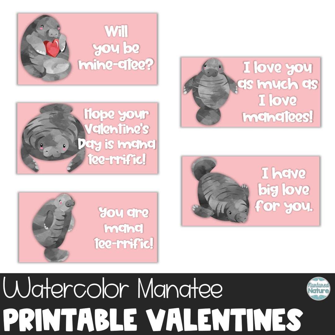 Manatee Valentine Cards, Manatee Valentines Day Cards, Manatee Gift for ...