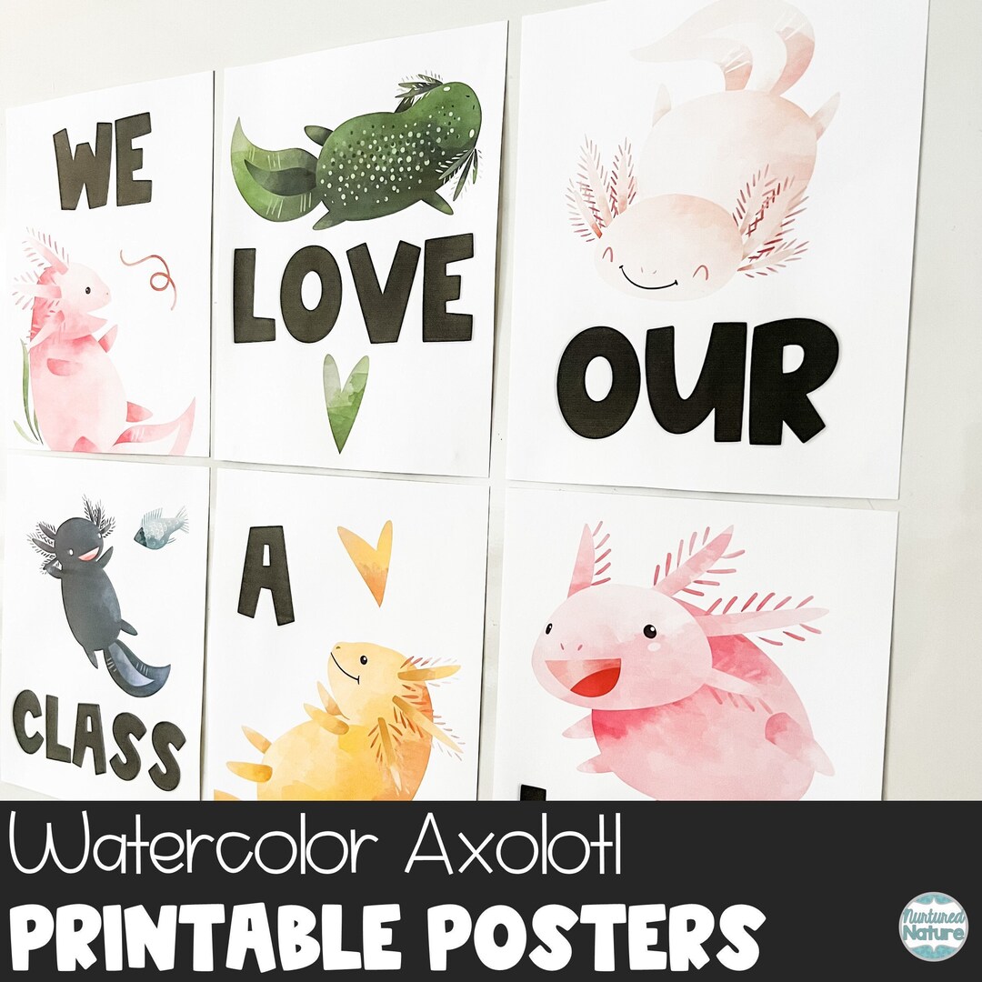 End of Year Bulletin Board Poster Display – Axolotl Spring Decor ...