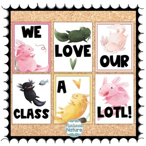 End of Year Bulletin Board Poster Display – Axolotl Spring Decor ...