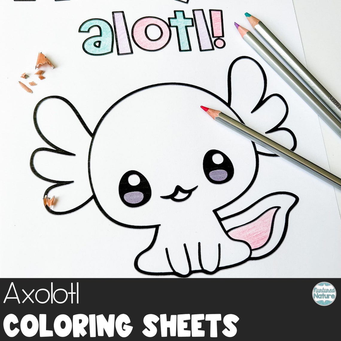 Axolotl Coloring Pages for Valentines Day Kids Coloring - Etsy