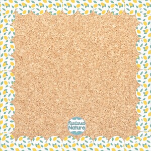 Printable Bulletin Board Border, Farmhouse Classroom Bulletin Board ...