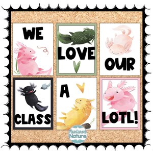 End of Year Bulletin Board Poster Display – Axolotl Spring Decor ...