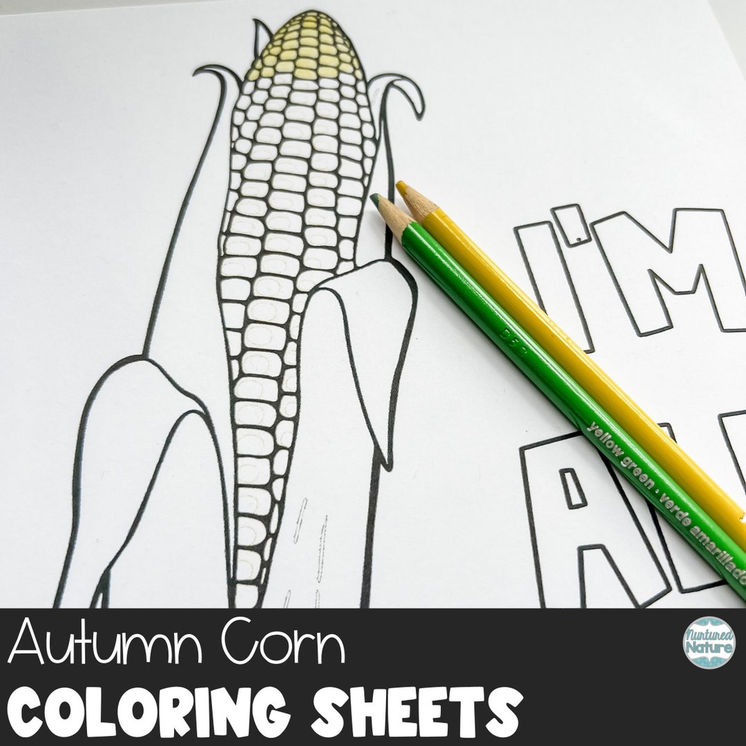 Fall Coloring Pages for Kids, Fall Festival Activities, Thanksgiving ...