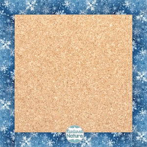 Winter Bulletin Board Border, Snowflake Print, January Bulletin Board ...