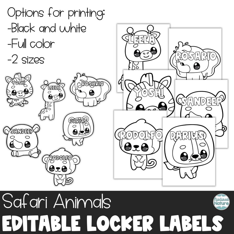 Editable Name Tags for School, Safari Animal Printables, Cubby Tags ...