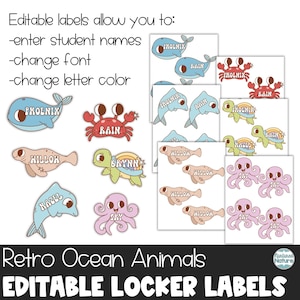 Editable Name Tags for School, Retro Cubby Tags, Back to School ...