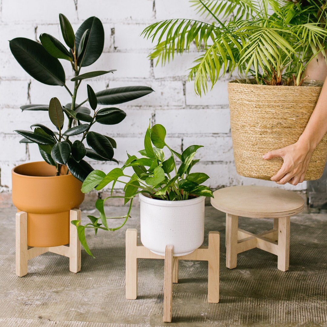 Versatile Removable Plant Stand With Adjustable Heights | Sustainable ...