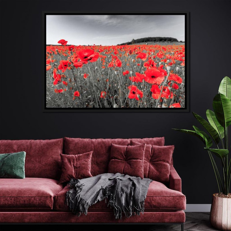 Flanders Poppy - Etsy