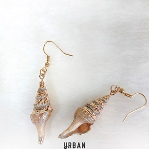 Shell Earring, Simple Earrings, Statement Earring, Fashionable Earring ...