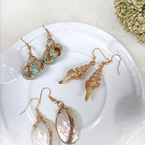 Shell Earring, Simple Earrings, Statement Earring, Fashionable Earring ...