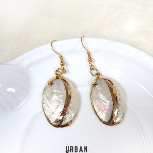 Shell Earring, Simple Earrings, Statement Earring, Fashionable Earring ...