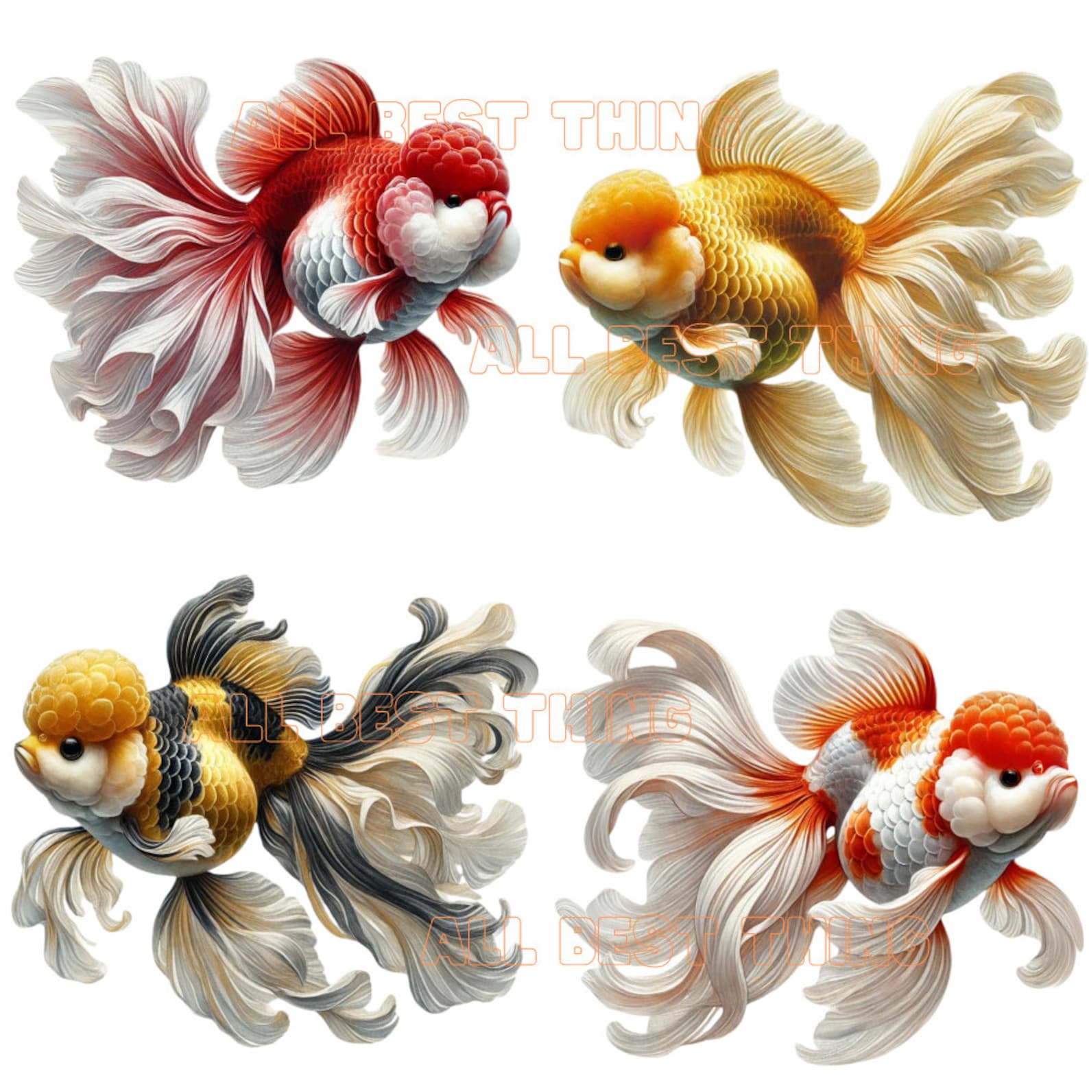 28 Watercolor Oranda Goldfish Clipart PNG, Fancy Goldfish Illustrations ...