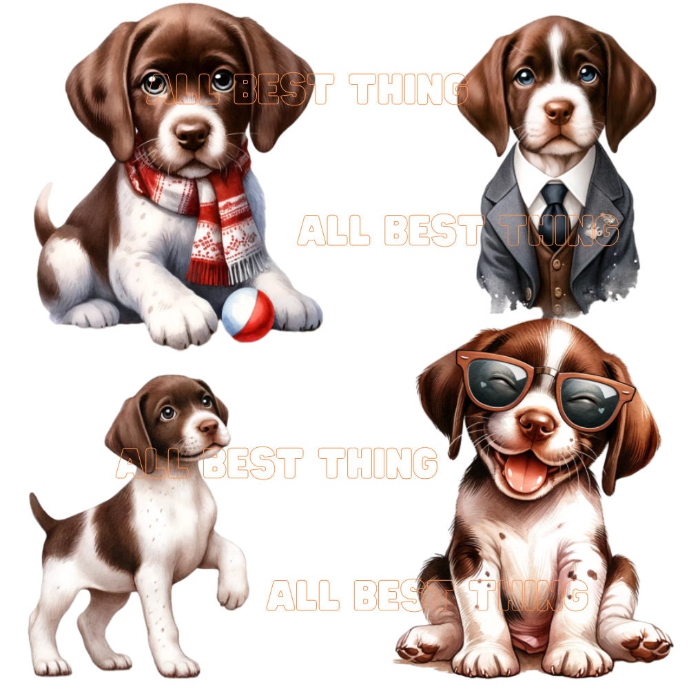 32 Puppy German Shorthaired Pointer Watercolor PNG Clipart, Cute Dog ...