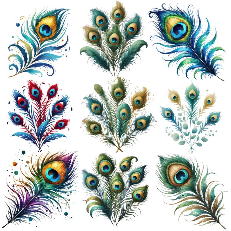 54 Watercolor Peacock Feather Clipart PNG Bundle, Digital Download ...