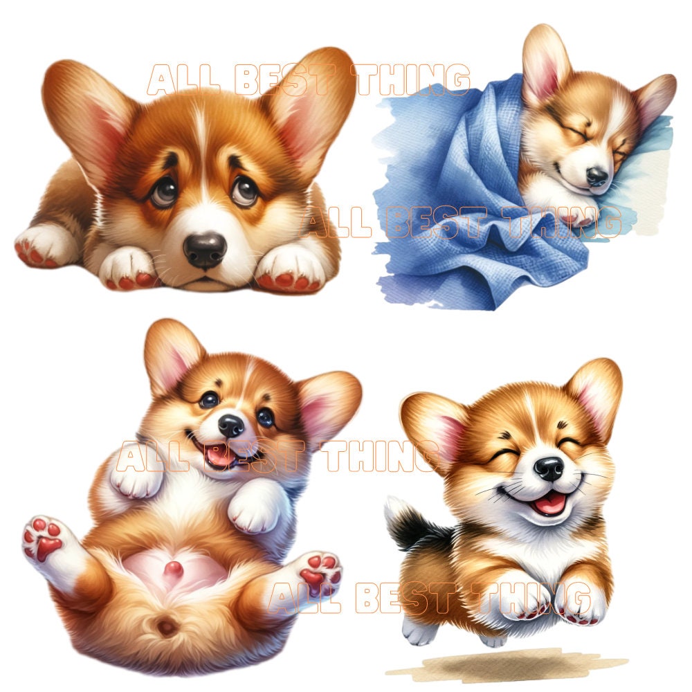 24 Corgi Watercolor PNG Clipart, Corgi Dog PNG, Cute Corgi Dog Clipart ...