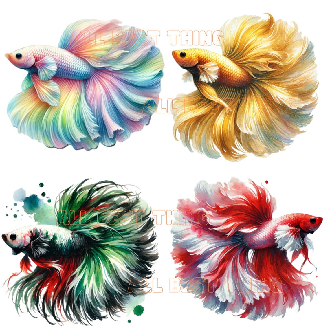 32 Watercolor Betta Fish PNG Clipart, Classics, Antique, Printable ...