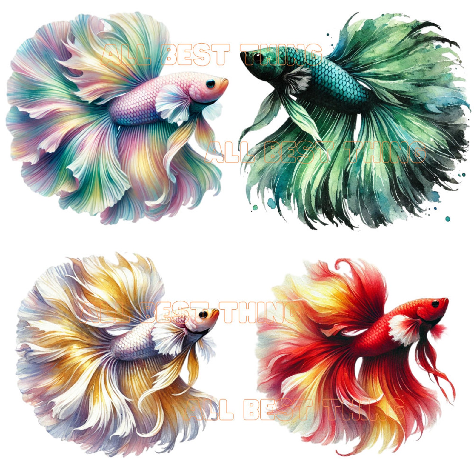 32 Watercolor Betta Fish PNG Clipart, Classics, Antique, Printable ...