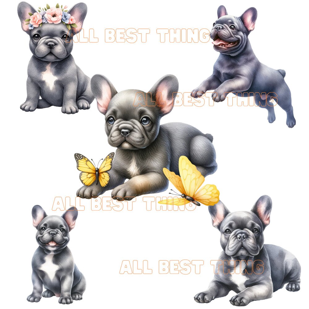 French Bulldog Watercolor Clipart, French Bulldog PNG, Bulldog Clipart ...