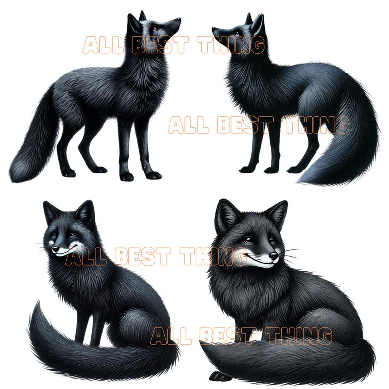 28 Watercolor Fox Black Clipart PNG, Line Art Clipart, Printable ...