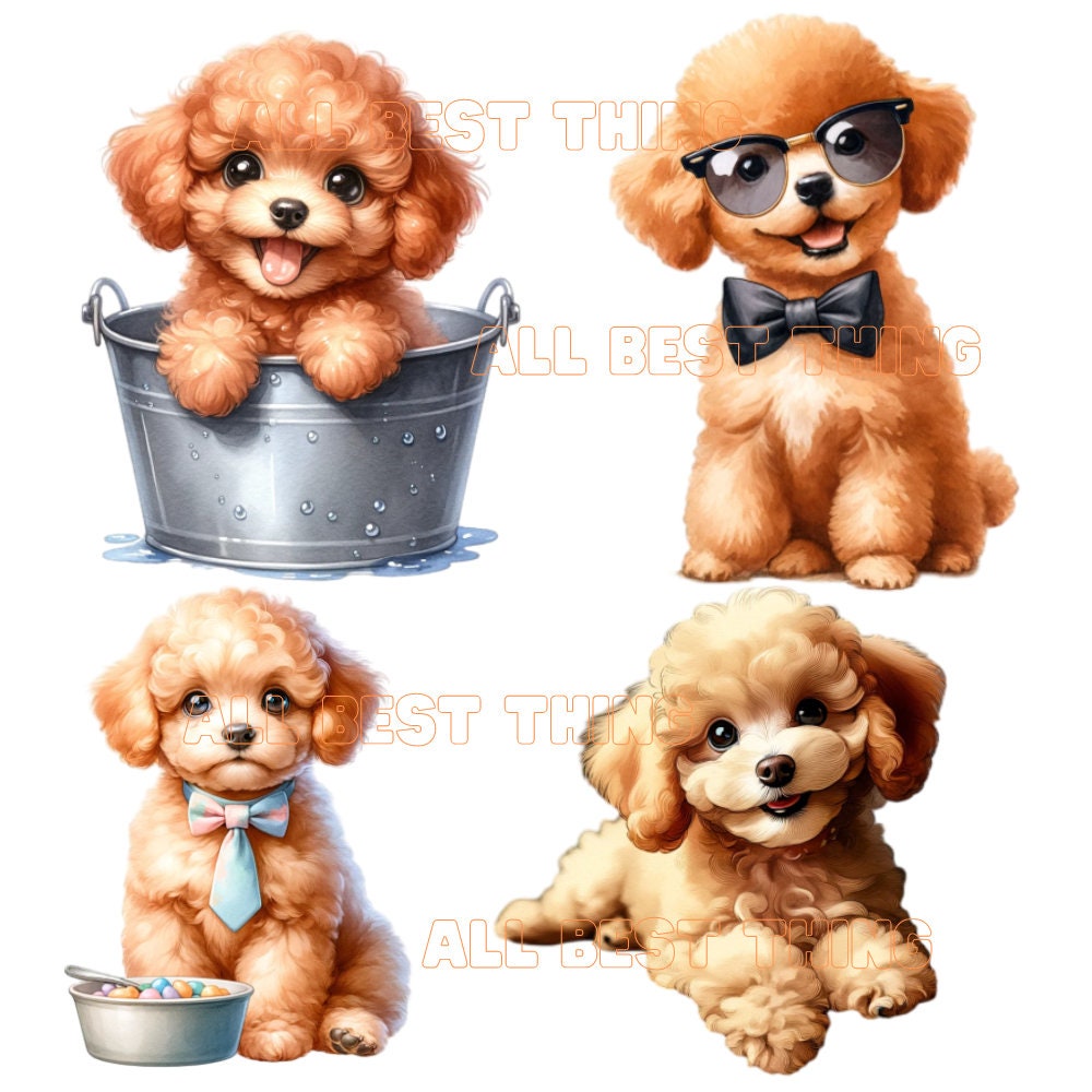 32 Cute Poodle Watercolor PNG Clipart, Cute Dog PNG, Poodle Clipart ...