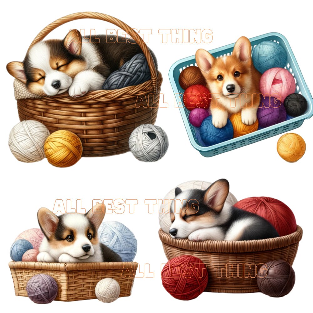 36 Corgi in a Wool Basket Watercolor PNG Clipart Clipart Bundle , Corgi ...