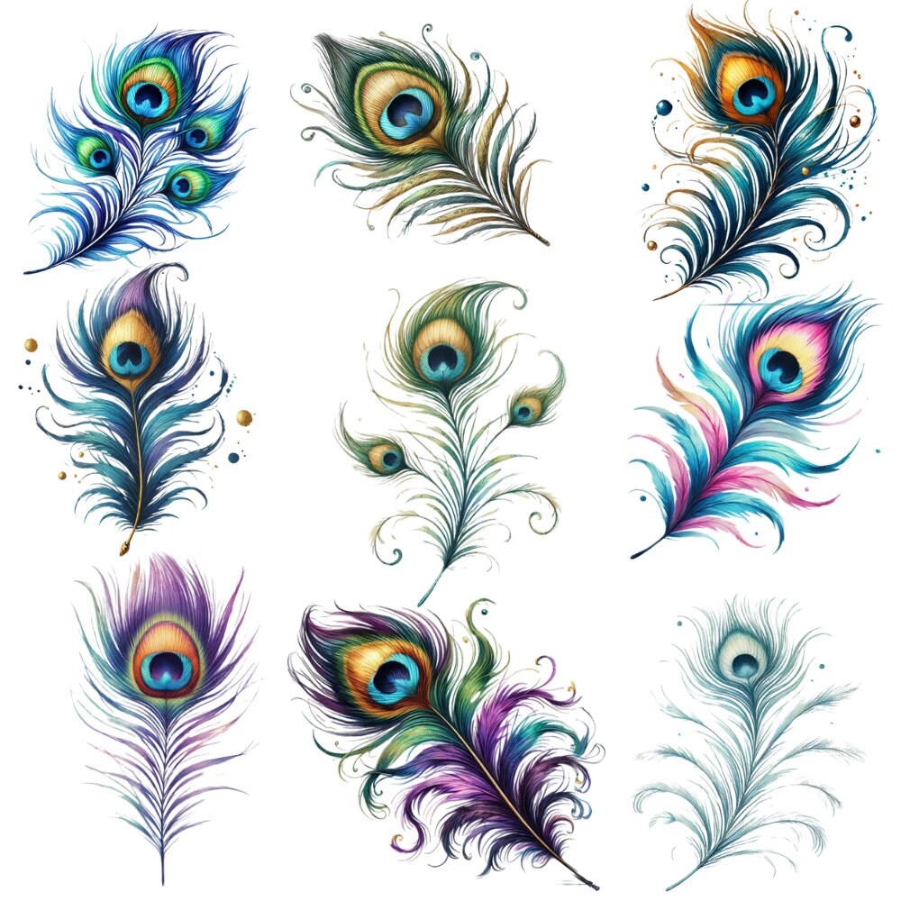 54 Watercolor Peacock Feather Clipart PNG Bundle, Digital Download ...