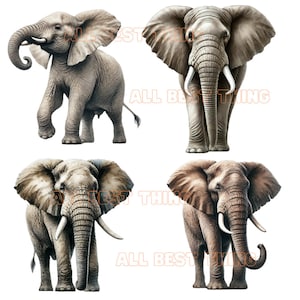 24 Elephant Clipart PNG, Watercolor Elephant, Printable Watercolor ...