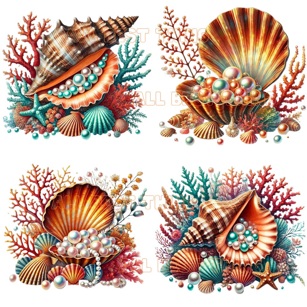 28 Sea Shells Pearls Clipart PNG, Seashell Clipart, Printable ...