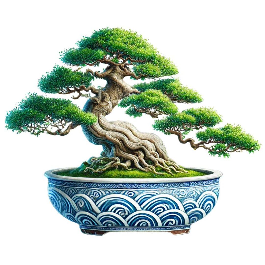 Watercolor Bonsai Tree Clipart Set: 28 PNG Images (digital Download) - Etsy