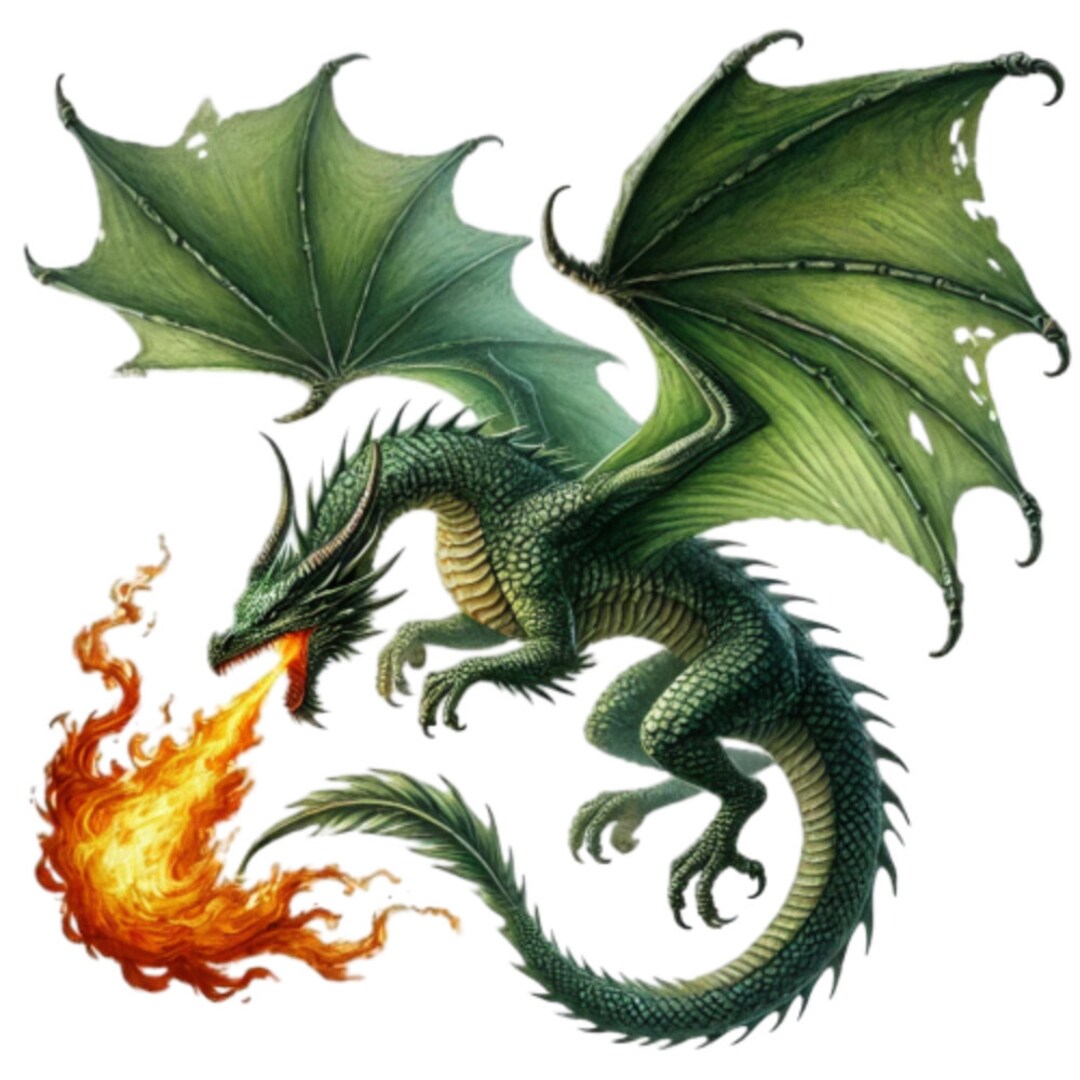 28 Dragon PNG Clipart, Fighting Dragon, Printable Watercolor Clipart ...