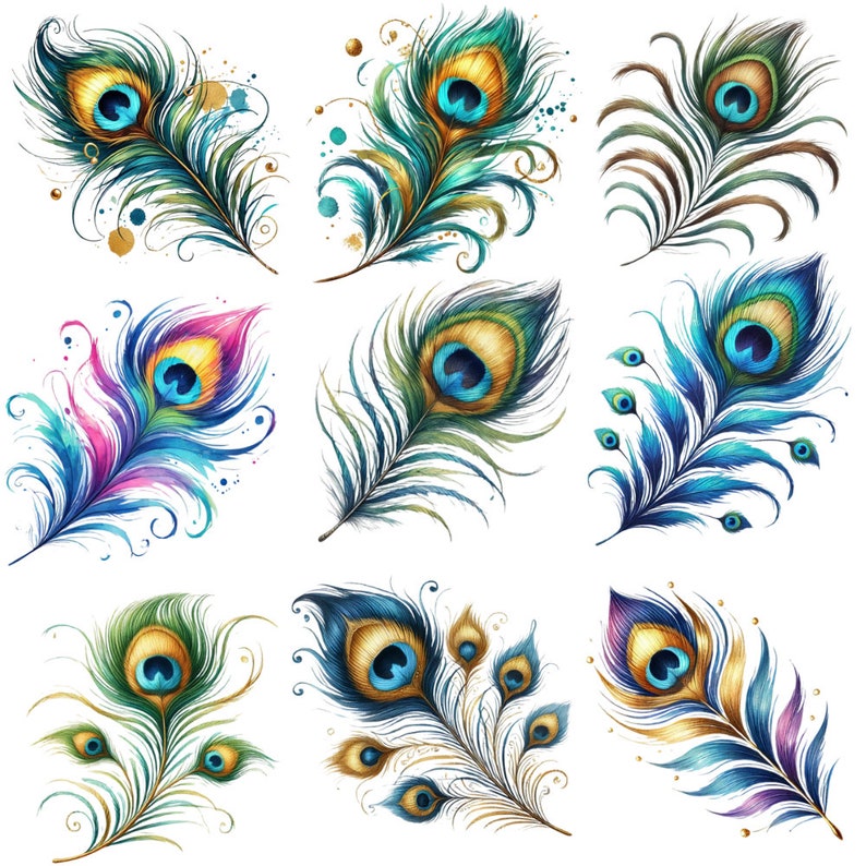 54 Watercolor Peacock Feather Clipart PNG Bundle, Digital Download ...