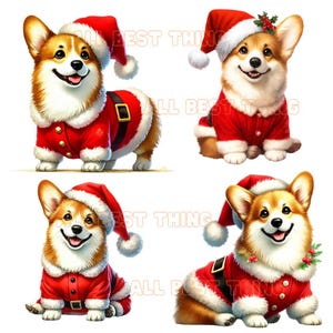 28 Corgi Dog Christmas Clipart PNG , Watercolor PNG, Cute Animal ...