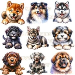 136 Dog Puppy Clipart PNG Bundle, Pet, Peeking Puppy Dogs Watercolor ...