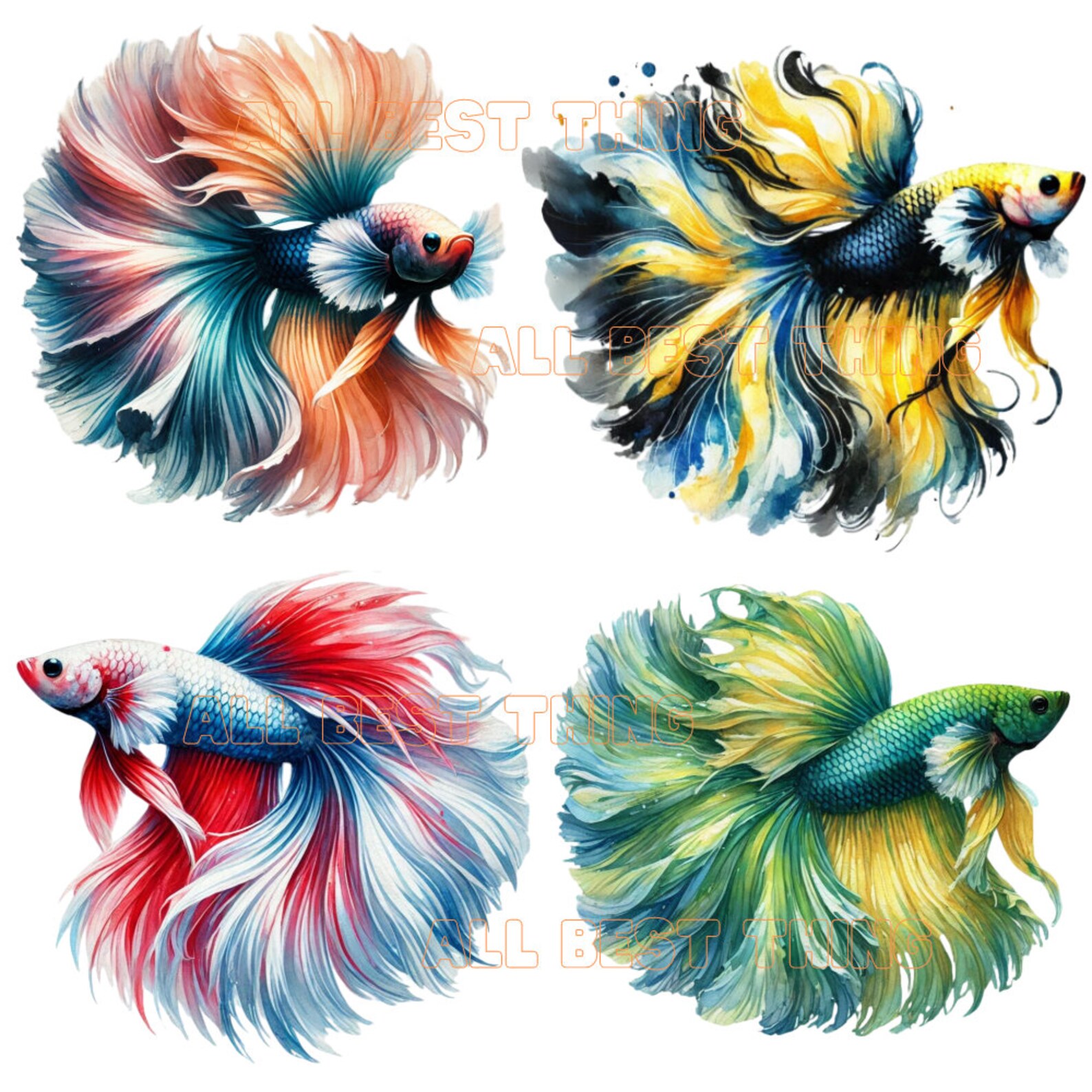 32 Watercolor Betta Fish PNG Clipart, Classics, Antique, Printable ...