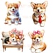 24 Corgi Watercolor PNG Clipart, Corgi Dog PNG, Cute Corgi Dog Clipart ...