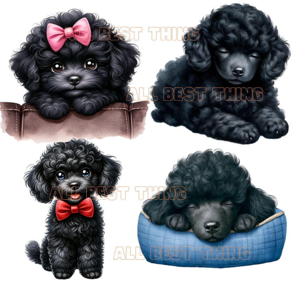 32 Cute Poodle Watercolor PNG Clipart, Cute Dog PNG, Poodle Clipart ...