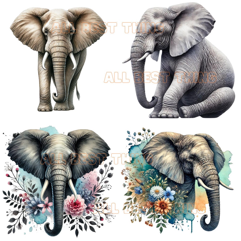 24 Elephant Clipart PNG, Watercolor Elephant, Printable Watercolor ...