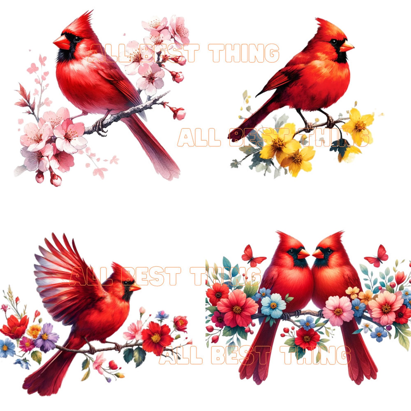 24 Red Cardinal Bird PNG Clipart, Bird PNG, Printable Watercolor ...