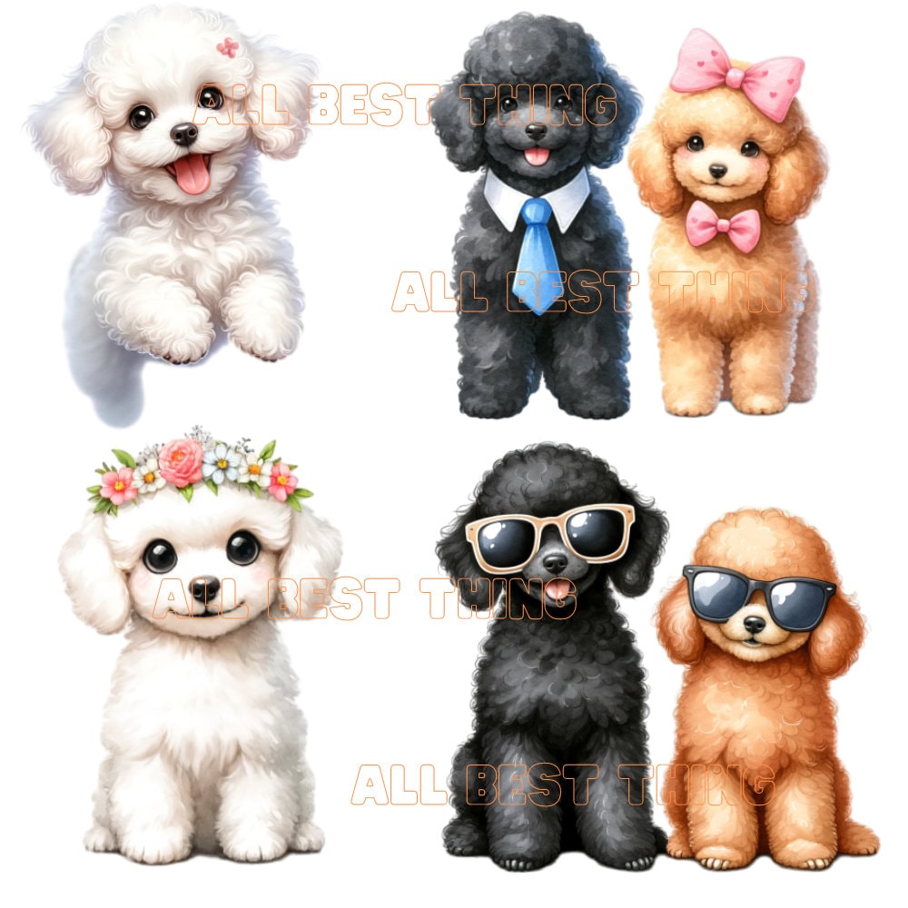 32 Cute Poodle Watercolor PNG Clipart, Cute Dog PNG, Poodle Clipart ...
