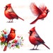 24 Red Cardinal Bird PNG Clipart, Bird PNG, Printable Watercolor ...