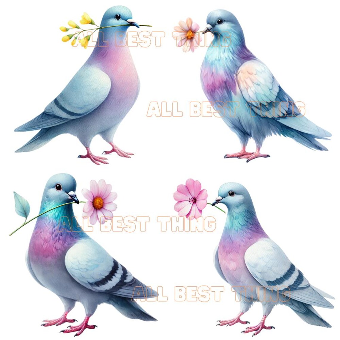 Watercolor Pigeon Clipart Set: Street Birds PNG Images (commercial Use ...