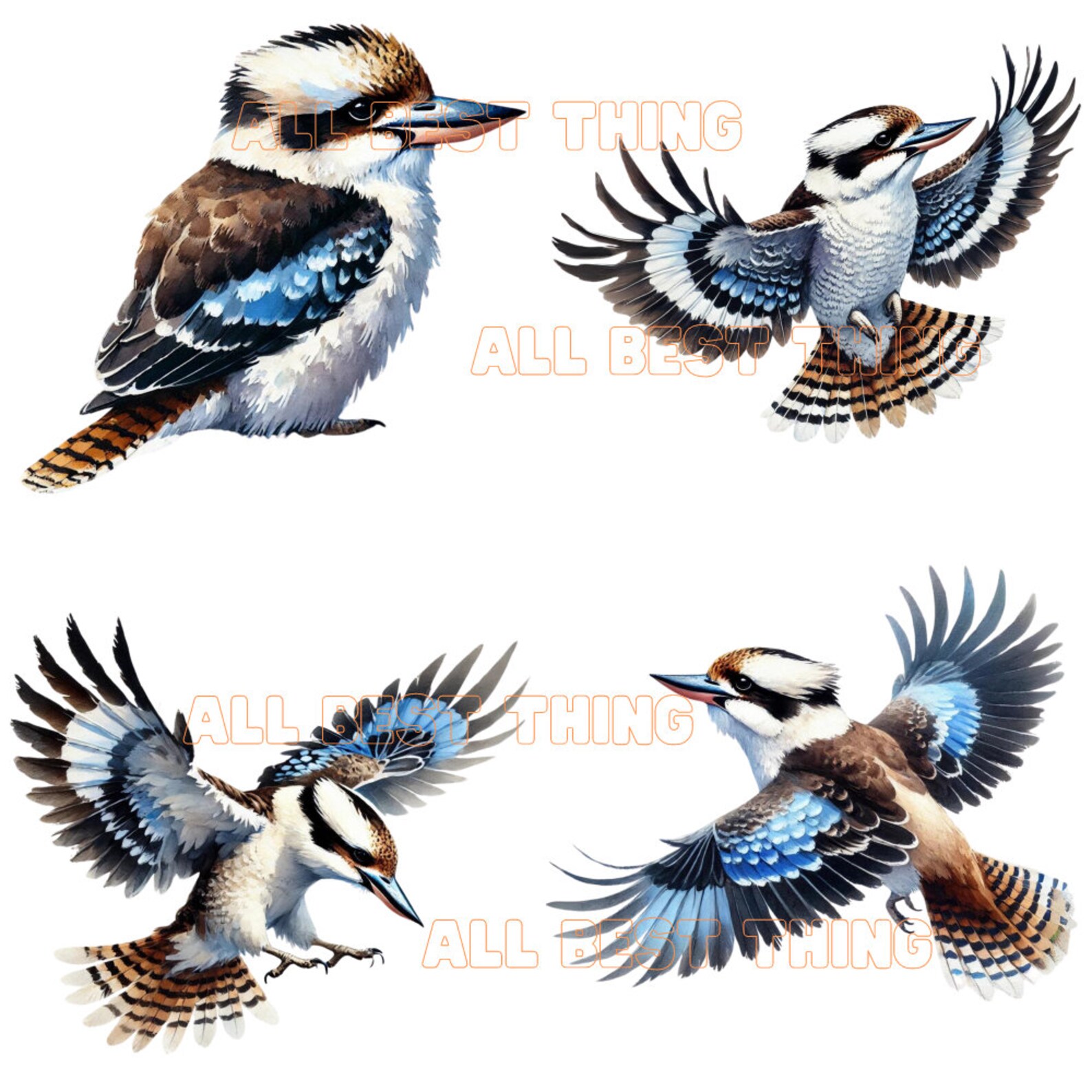 28 Kookaburra Bird Clipart PNG, Adorable Kookaburra Clipart Bundle ...