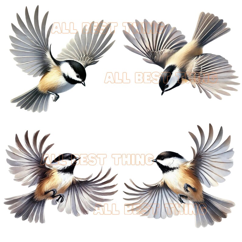 28 Watercolor Chickadee Bird PNG Clipart, Printable Watercolor PNG ...